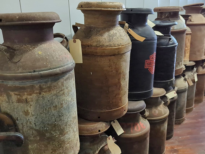 These weathered milk cans once delivered dairy to doorsteps across America. Now they're rustic decorative pieces with stories to tell.
