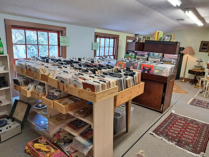 Vinyl heaven for music lovers &ndash; where forgotten albums and hidden gems sit side by side, each sleeve a time capsule of another era.