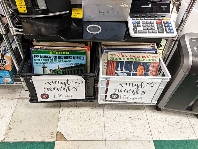 Vinyl revival central! These bins of musical nostalgia offer $1 time machines back to the soundtrack of your youth.