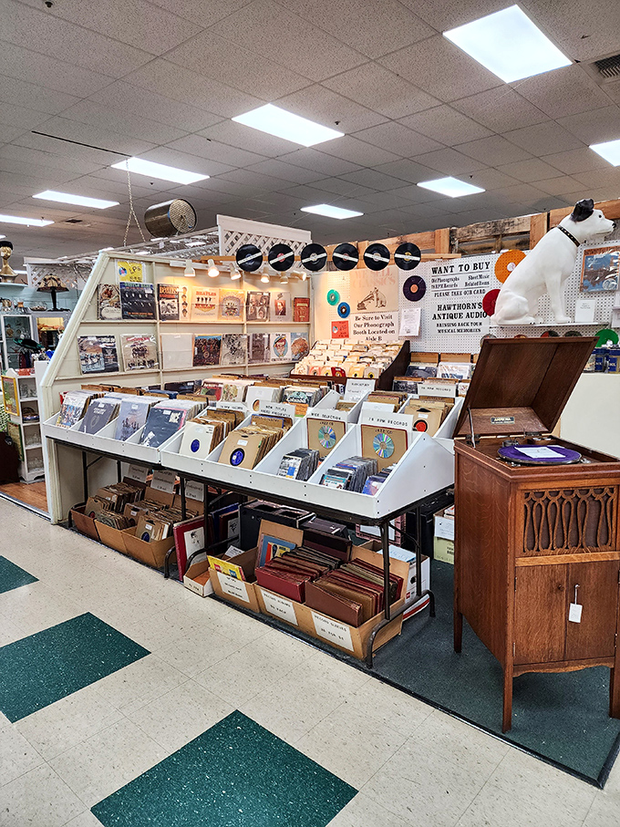 The vinyl section: where music lovers can physically reconnect with albums their streaming service doesn't even know existed.