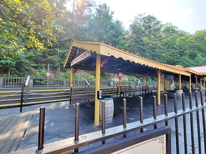 The waiting platform, where strangers become fellow travelers united by the universal language of "Did you hear that whistle? It's coming!"