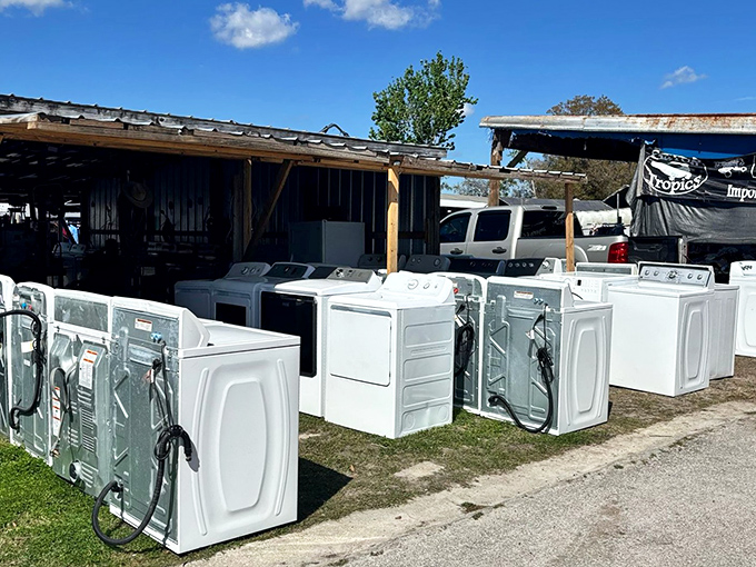 Appliance shopping with a side of sunshine&mdash;these washing machines stand at attention like white goods soldiers awaiting their marching orders to new homes.