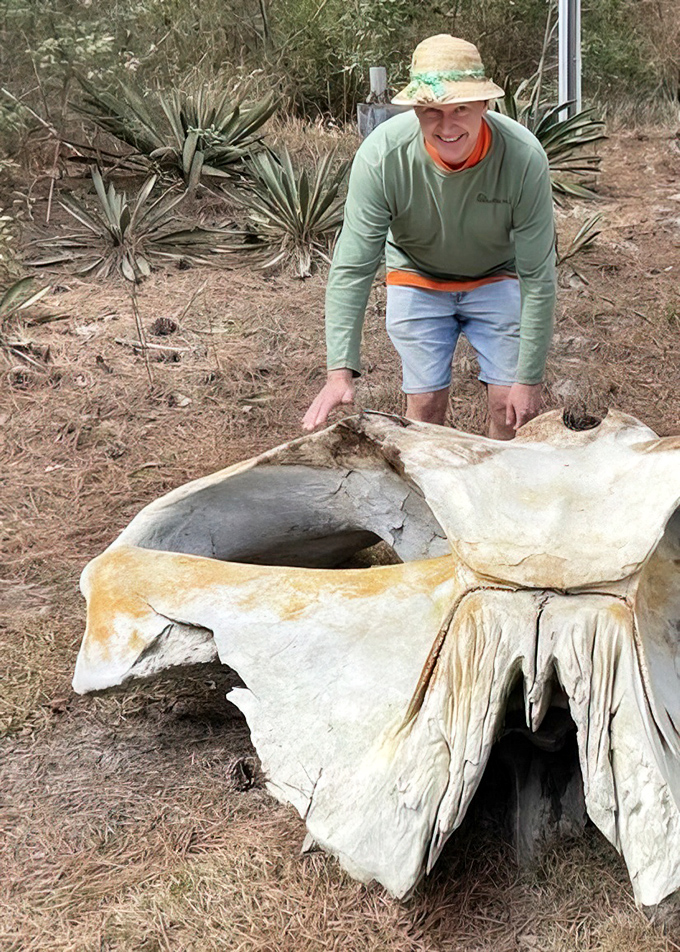 Nature's ultimate show-and-tell item. This massive whale bone reminds us we're just visitors in a world much older than our brief stay.