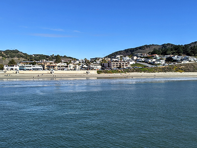The town stretches along the curve of the bay like a smile. Avila Beach knows exactly how good it has it.