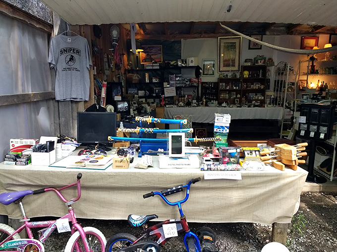 Childhood nostalgia meets practical finds. Those colorful bikes are waiting to create memories for a new generation of neighborhood explorers.
