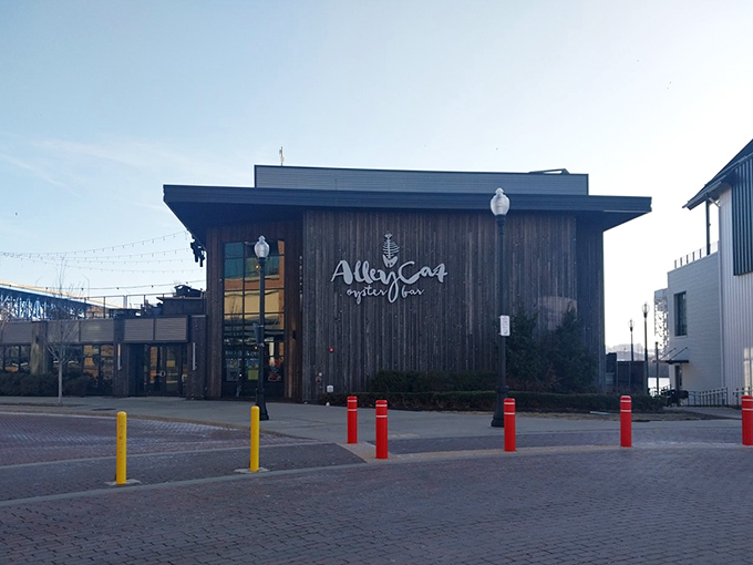 Alley Cat's dramatic wooden exterior brings rustic-chic vibes to Cleveland's waterfront &ndash; oysters with architectural attitude!