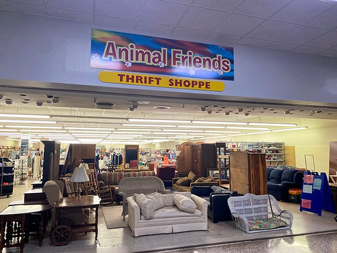 Animal Friends' spacious showroom could furnish your entire home. That loveseat is practically begging for movie nights and popcorn!