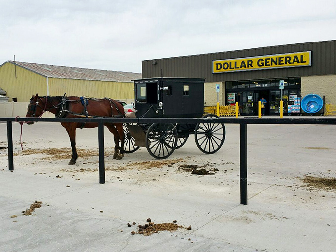 Arthur's Amish buggy reminds us that some folks still prefer horsepower over actual horsepower.