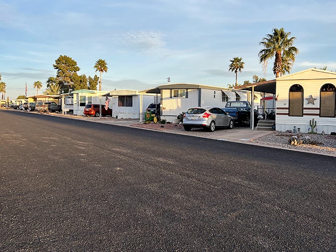 Mobile home parks become surprisingly picturesque when palm trees frame the scene.