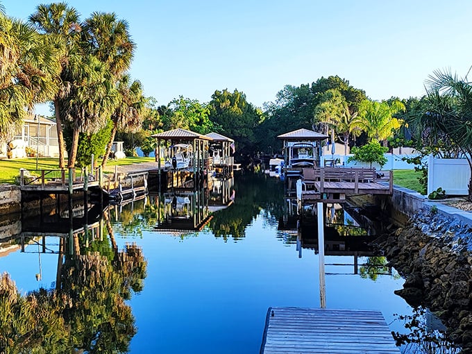 Crystal River's waterways reflect more than just palm trees - they mirror a lifestyle worth slowing down for.