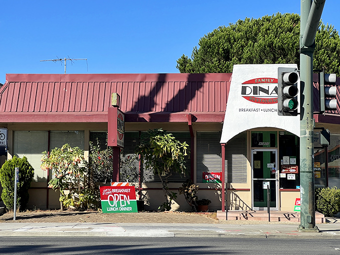 Family restaurants like this one understand that the best meals come with generous portions and genuine care.