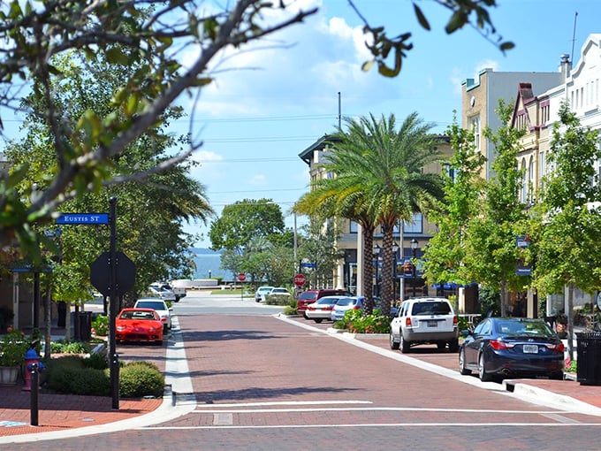 Eustis spreads along Lake Eustis with waterfront parks and tree-lined shores that invite long walks and peaceful contemplation.