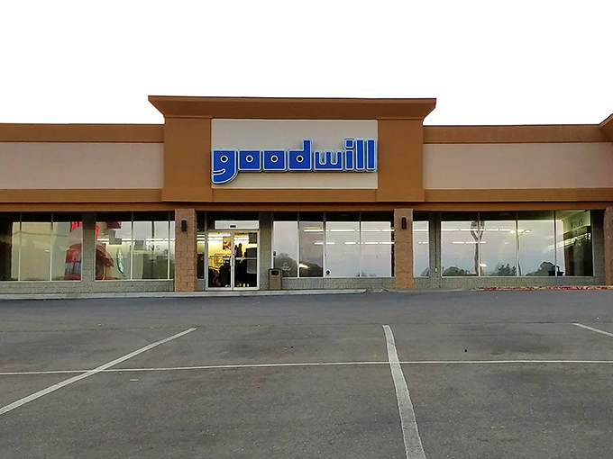 The trusty Goodwill blue brings comfort like an old friend who always knows where to find deals.