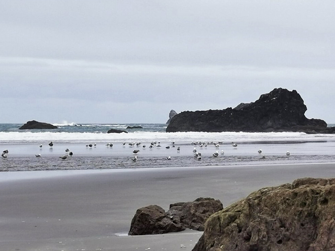 Hidden Beach lives up to its name&mdash;a quiet stretch of shore framed by ancient sea stacks and endless sky.