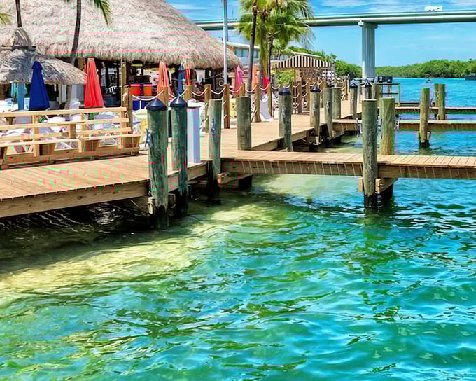 Key Largo's crystal-clear waters reveal an underwater world that puts aquariums to shame completely.