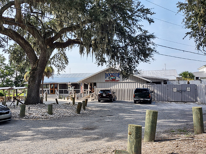 Your visit to the iconic Johnson Creek Tavern awaits, where you can enjoy a relaxing meal under the beautiful mossy oaks.