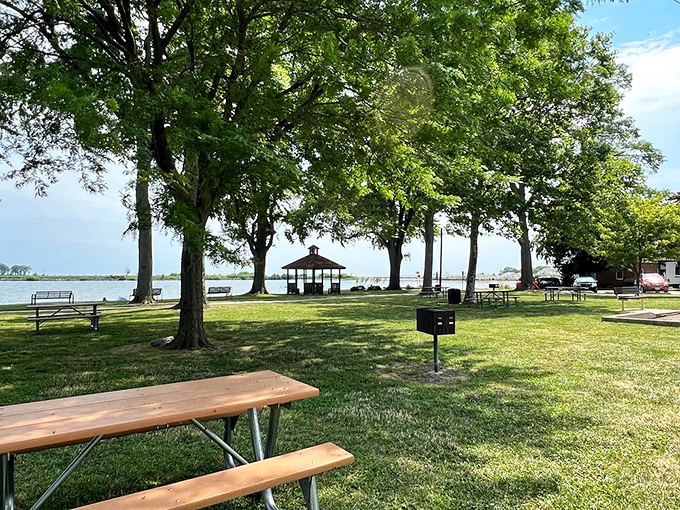 Family fun beneath the trees and picnic tables create the perfect American summer beach experience.