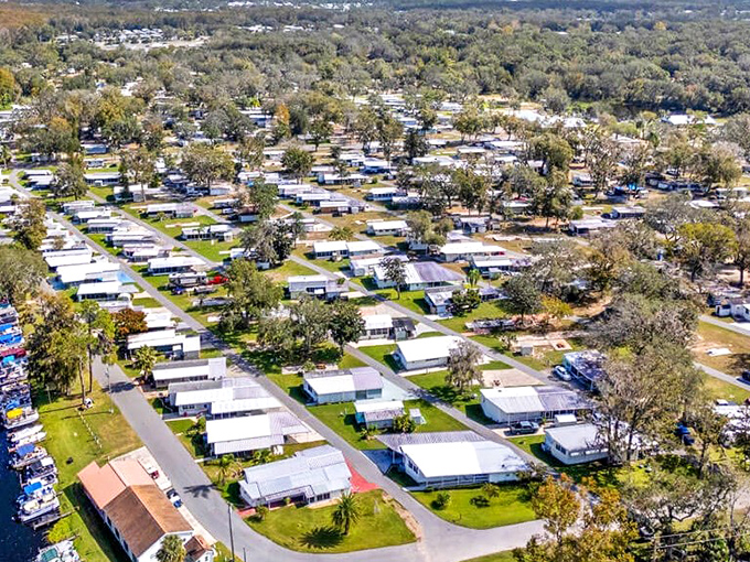 Waterfront retirement without waterfront prices. Lake Harris views that make every day feel like you've won the lottery.