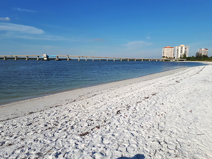 This peaceful shoreline stretches endlessly, offering solitude that's increasingly rare in modern Florida.