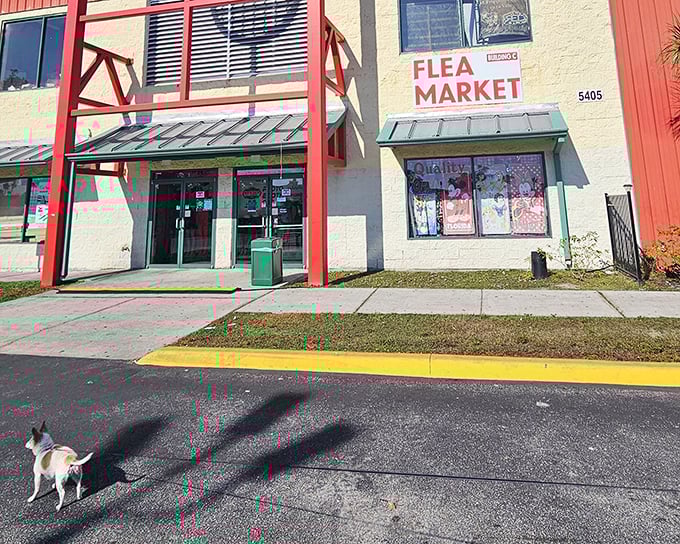 Main Gate Flea Market's colorful entrance welcomes bargain hunters. Even the local dogs know where the good deals are hiding!