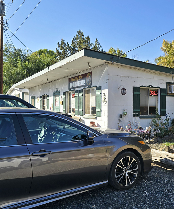 This tiny white gem sits on Main Street like a movie set - small-town America at its finest.