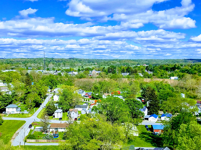 Rooftop symphony in green! Mount Vernon's affordable neighborhoods nestle among trees like retirement dollars tucked safely in your most comfortable wallet.