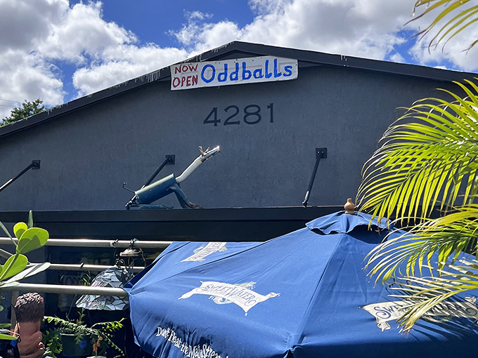 That blue building practically vibrates with personality - quirky vibes from the outside in.