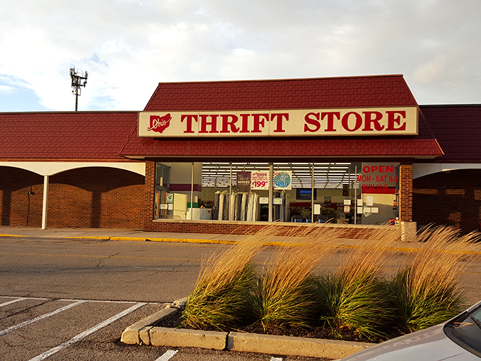 Ohio Thrift Store: Where $28 can fill a shopping cart faster than you can say "incredible bargain."