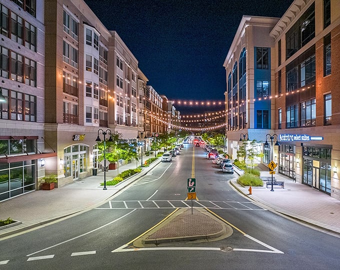 Owings Mills brings that "suburban dream" without the nightmare prices you'd expect.