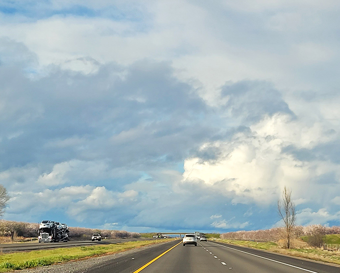 Red Bluff's agricultural landscape stretches endlessly, just like your retirement dollars will here.