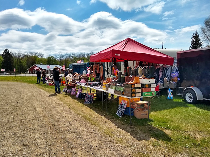 Reits Flea Market's outdoor vendors create a colorful patchwork of possibilities under the Michigan sky.