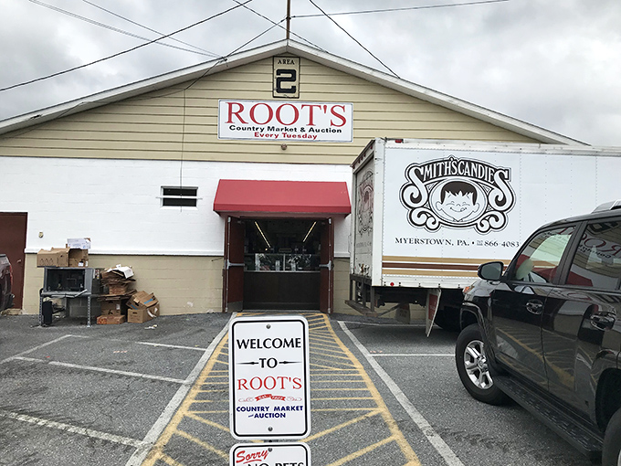 Welcome to Roots, where Pennsylvania Dutch tradition meets modern-day bargain hunting in perfect harmony.