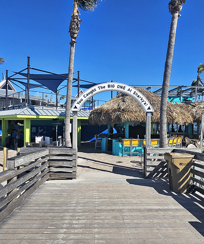 Multi-level pier dining where sharks are just the theme, but the views are absolutely jaw-dropping.