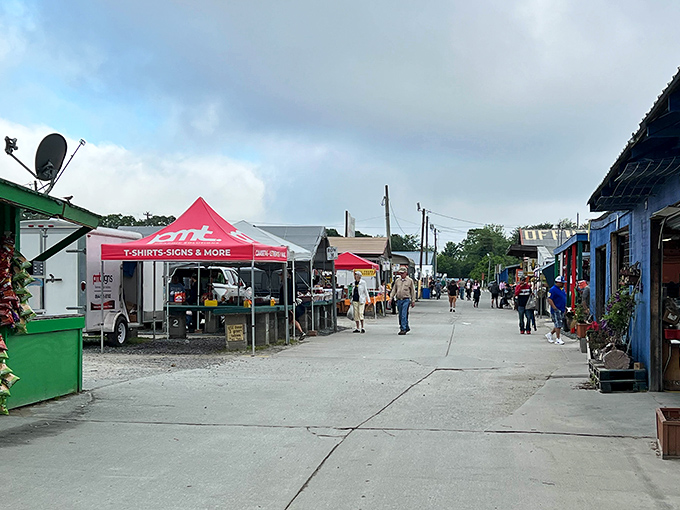 Colorful outdoor vendors create a festival atmosphere at Smiley's Flea Market in beautiful Fletcher, North Carolina.