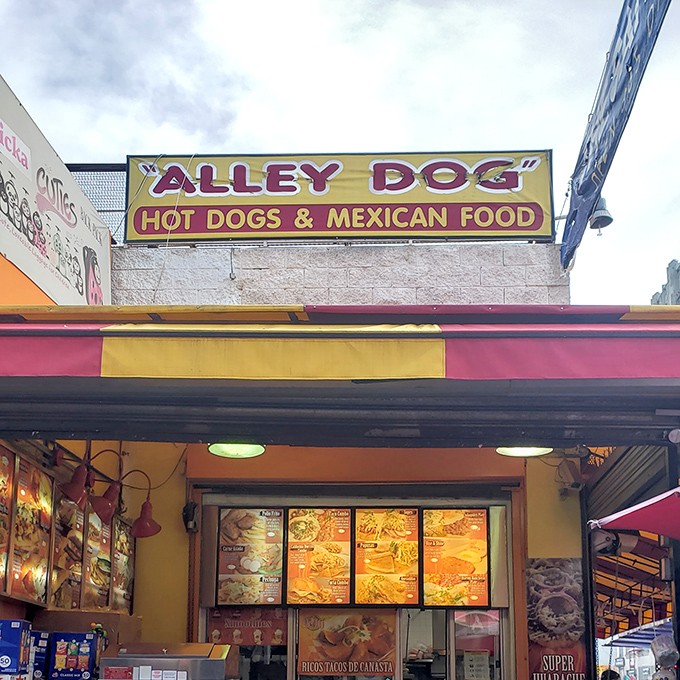 Bright colors and bold flavors collide at this downtown gem where hot dogs meet Mexican street food magic.