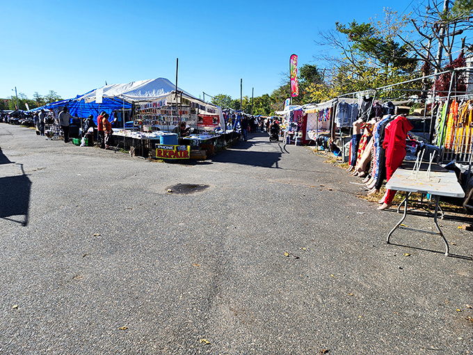 Mountain views and outdoor vendors create the perfect backdrop for Connecticut's most scenic treasure hunting experience.