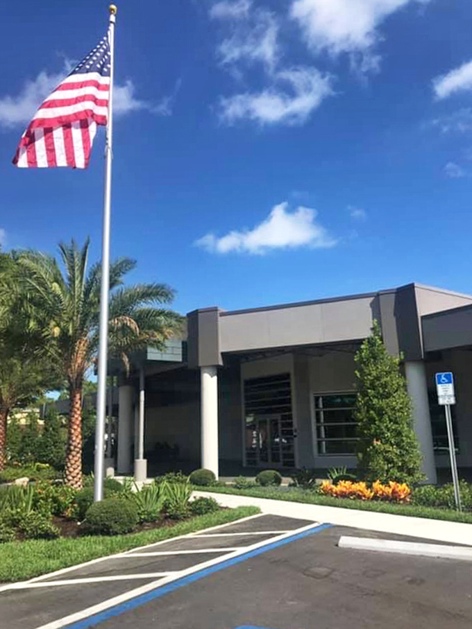 American flags wave proudly over this Clearwater collection, where automotive artistry meets patriotic pride beautifully.