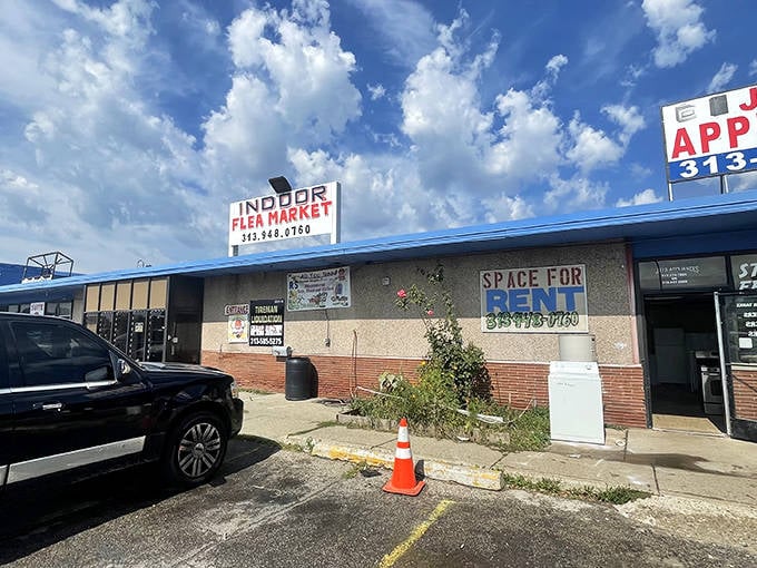 Discover unique deals and local charm at Detroit's Tireman Flea Market, where you can find unexpected treasures around every corner.