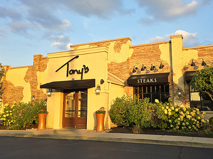 Tony's golden-hour glow isn't just good lighting&mdash;it's the universe's way of highlighting where great steaks happen. Sunshine meets premium beef.
