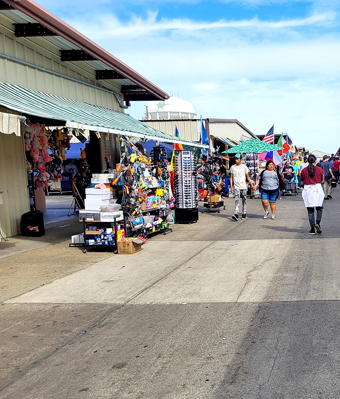 Grand Prairie's Traders Village stretches toward the horizon. Better wear your comfy shoes - you've got some serious shopping ahead!