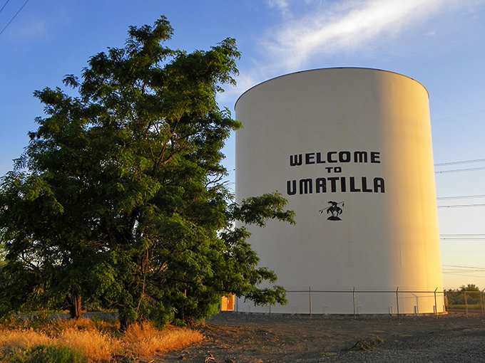 Welcome to Umatilla, where the water tower greets you like an old friend with open arms.