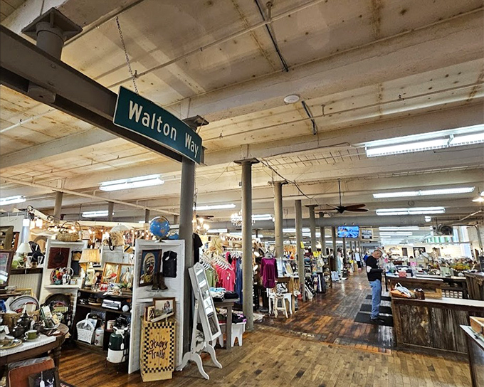 Vintage Revival's interior showcases treasures with the precision of a fine art gallery displaying priceless masterpieces.