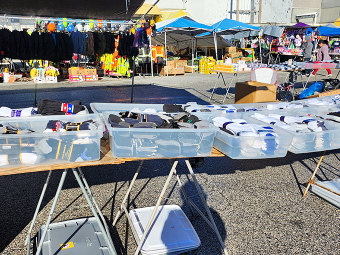 Kitchen gadgets and household items spread across outdoor tables like a suburban yard sale paradise.