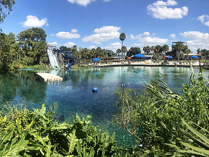 "Weeki Wachee: where the water slides are real and the mermaids might be too! This spring-fed water park puts your neighborhood pool to shame."