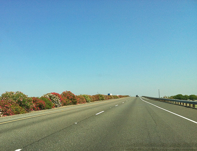 Highway 162 cuts through farm country where the living is easy and surprisingly affordable.