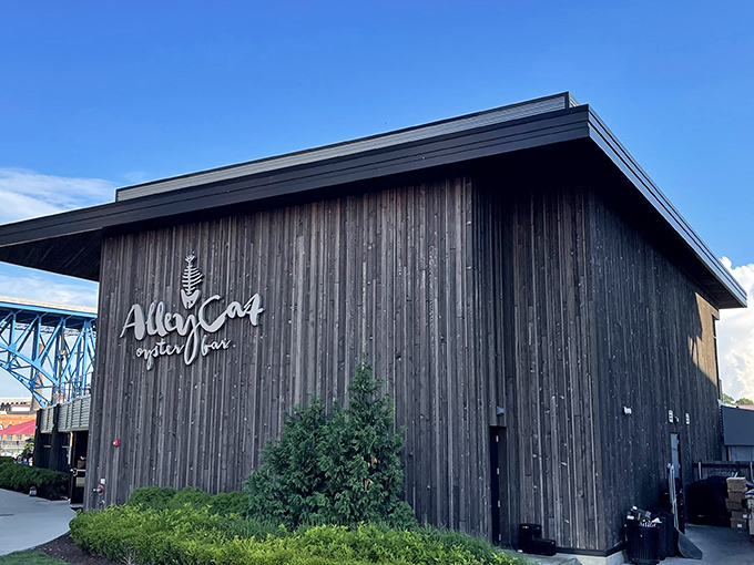 Sleek, dark wood and minimalist signage make Alley Cat a modern seafood sanctuary along Cleveland's bustling riverfront.