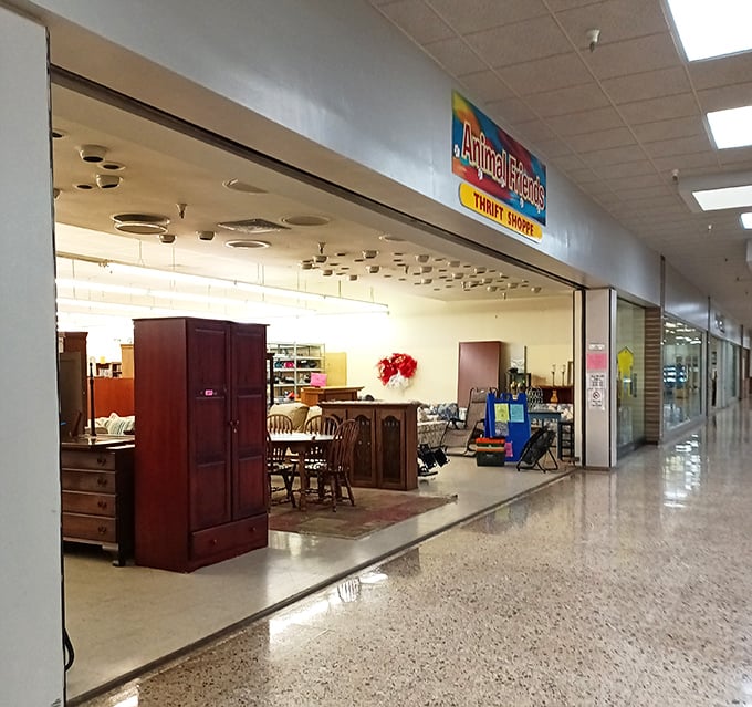 From teddy bears to toy trucks, childhood dreams line these shelves. One child's outgrown treasure becomes another's new adventure!
