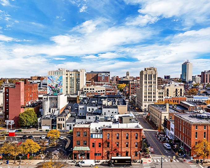 A panoramic view of Ann Arbor reveals a vibrant cityscape where university culture creates affordable entertainment options for retirees.