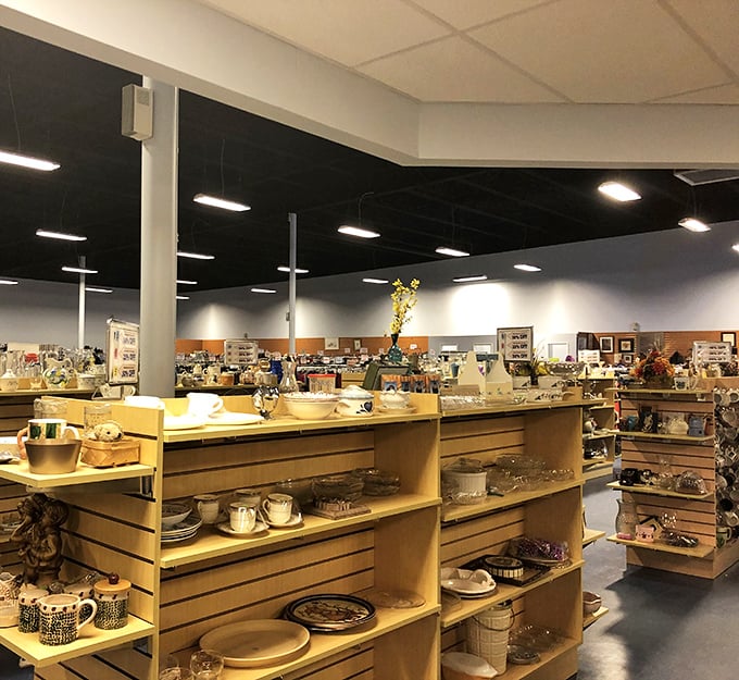 Organized shelving and proper lighting transform thrift shopping into a genuinely pleasant retail experience for everyone.