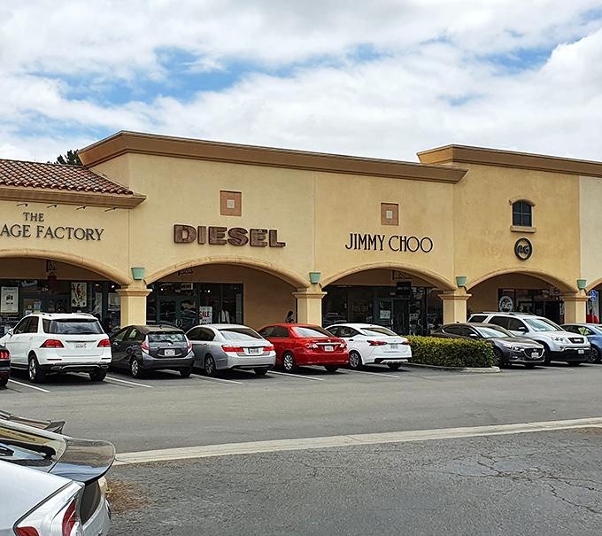 Expansive outdoor layout invites relaxed wandering where open skies turn every find into a discovery.